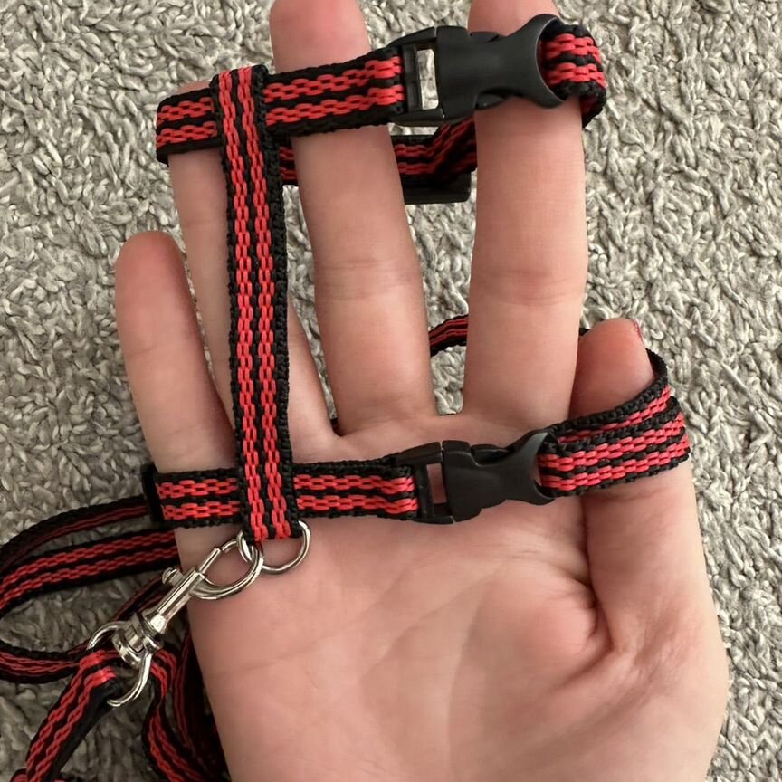 Шлейка для морской свинки, кролика