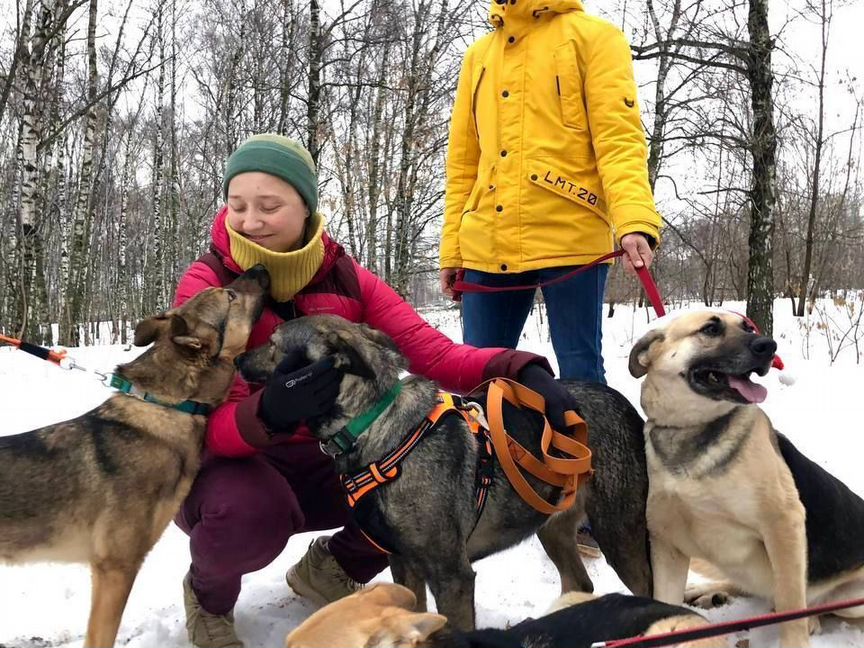 В приюте рады помощникам