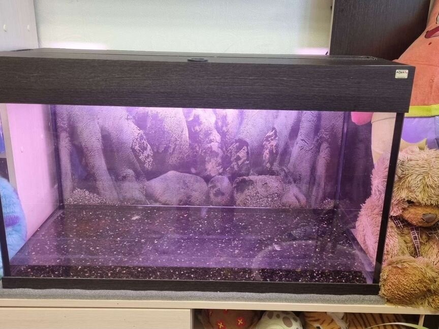 Аквариум 100 литров