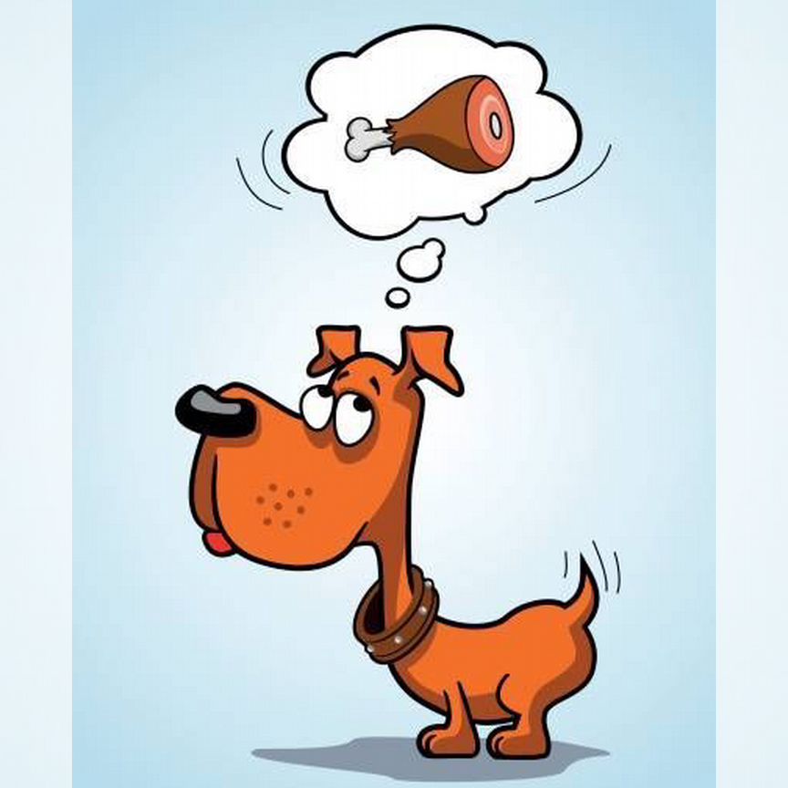 Пищевые отходы из столовой