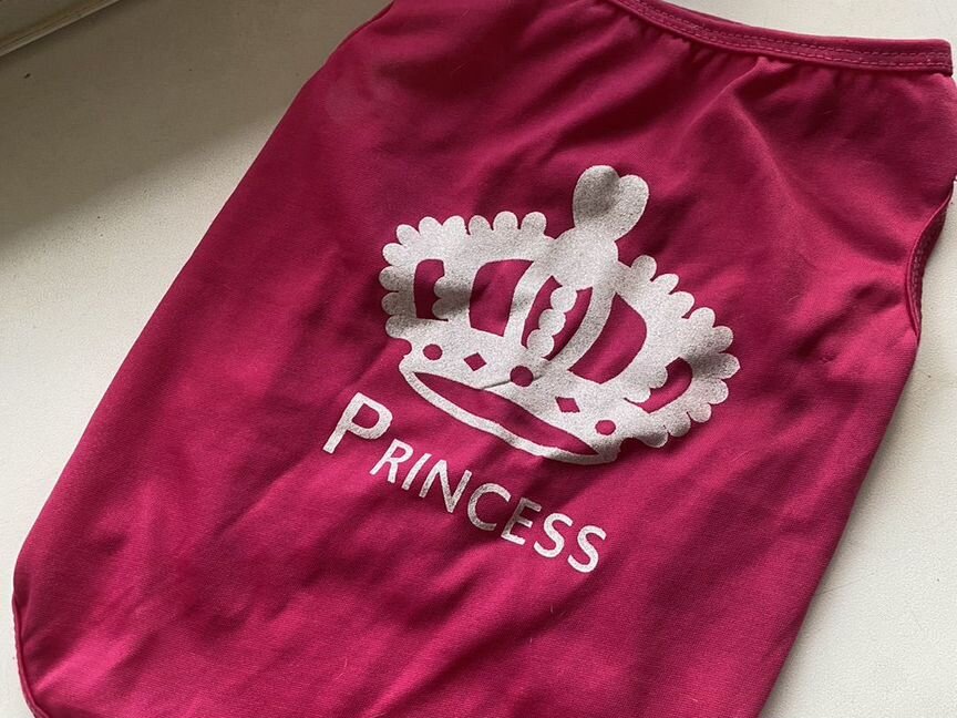 Вещи для маленьких собак