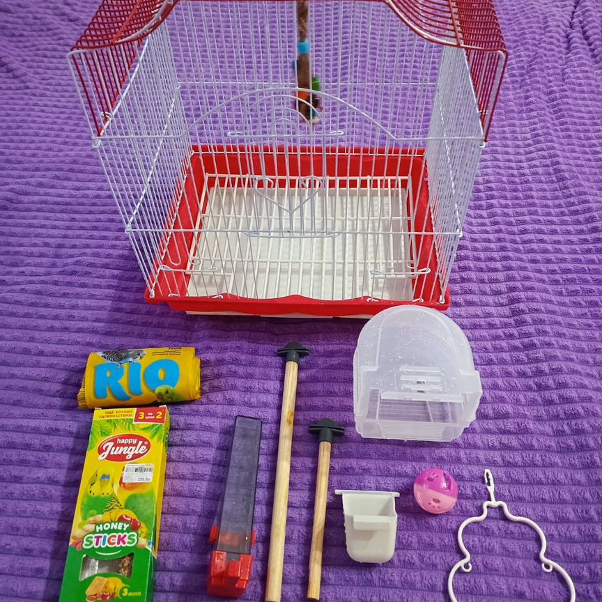 Клетка для попугая со всем необходимым
