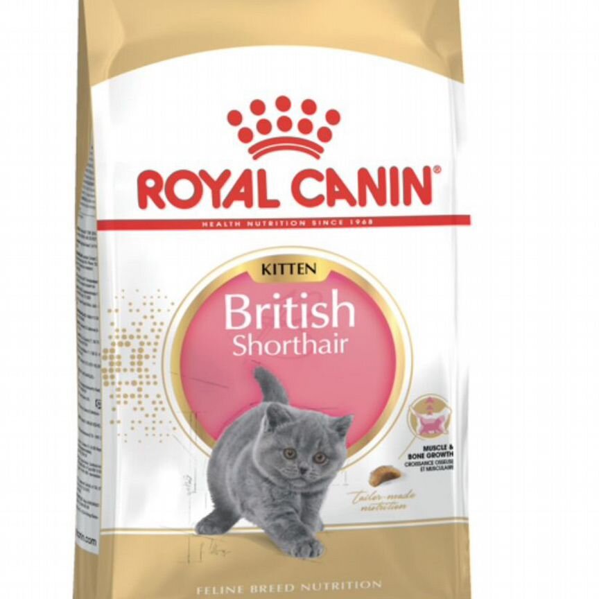 Royal canin для котят британской породы 10 кг
