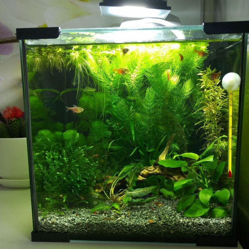 Аквариум куб 27 литров