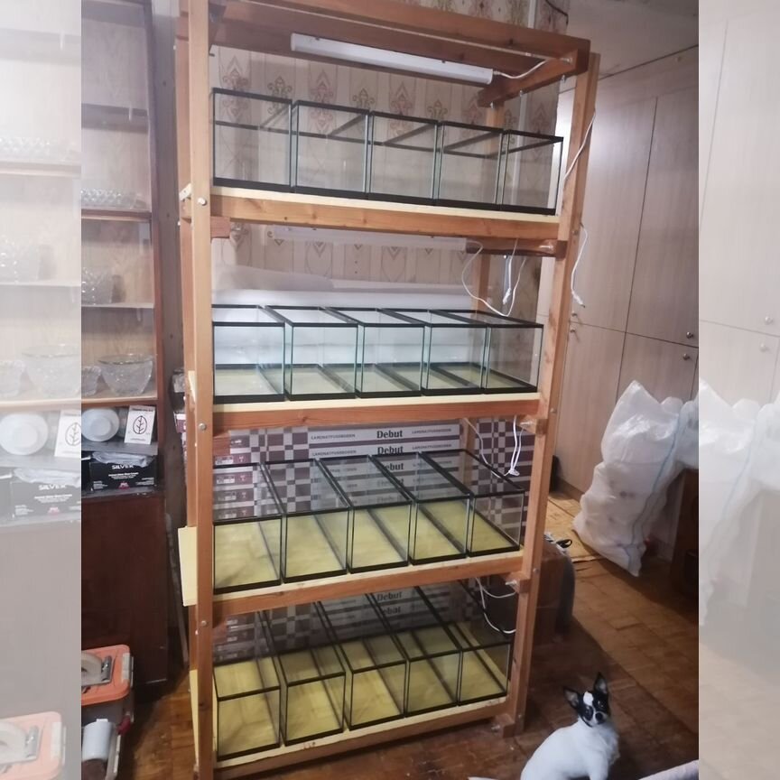 Стойка с аквариумами