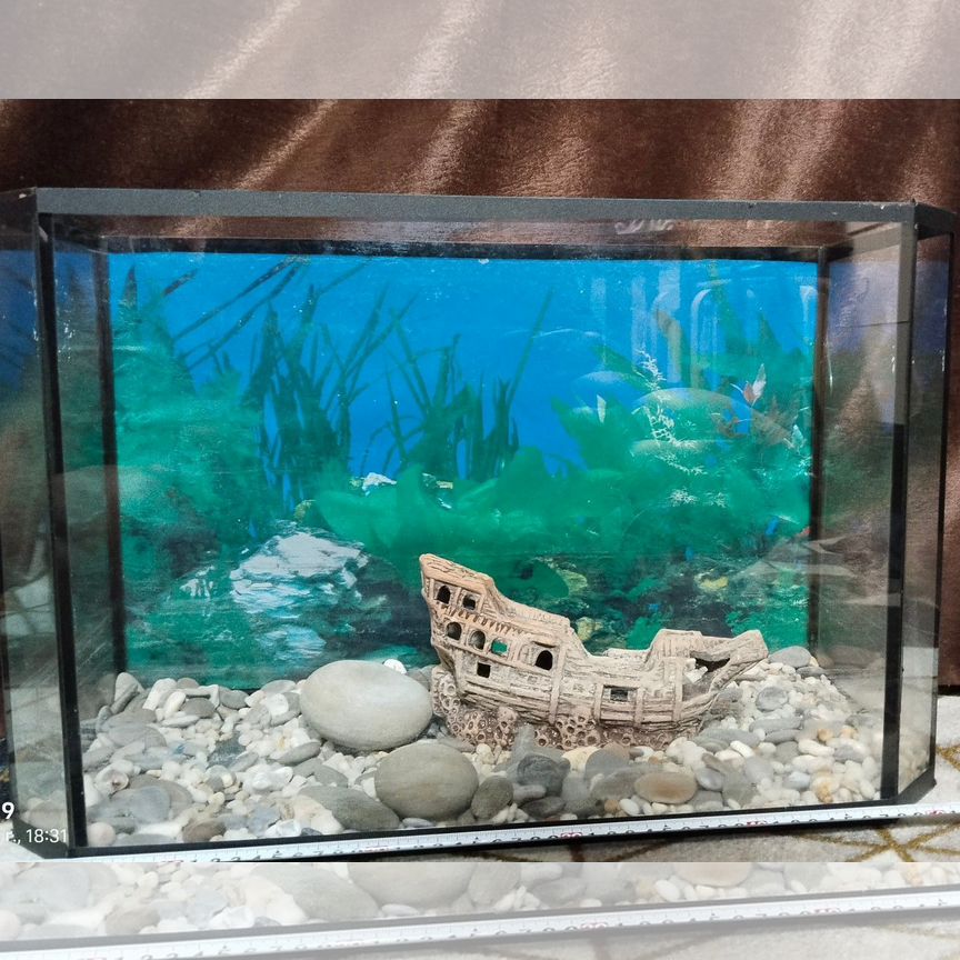 Аквариум