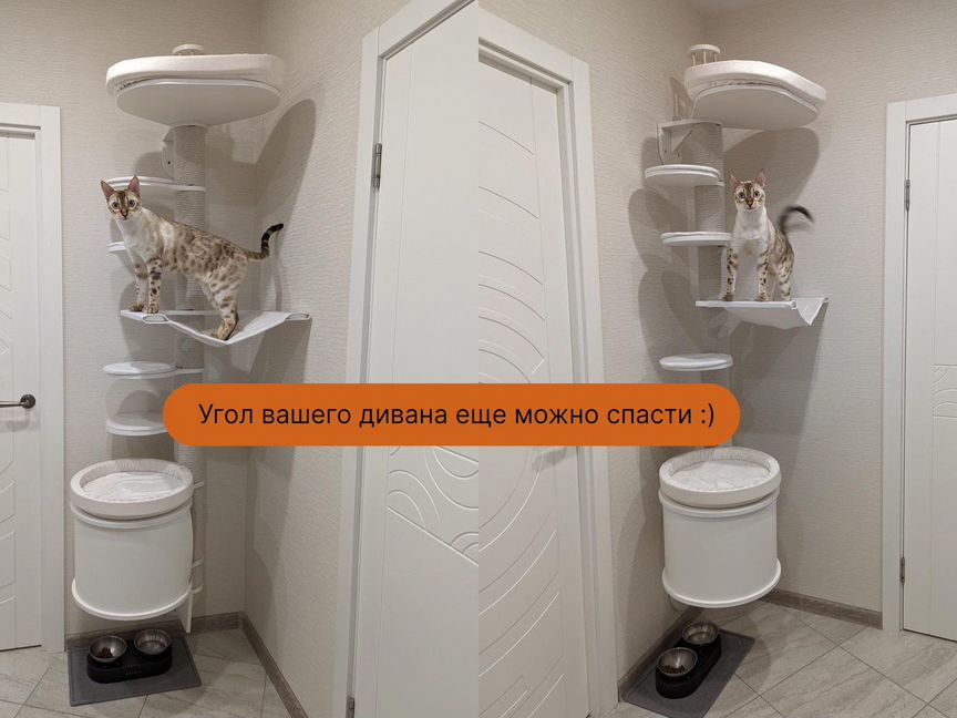 Когтеточка с домиком