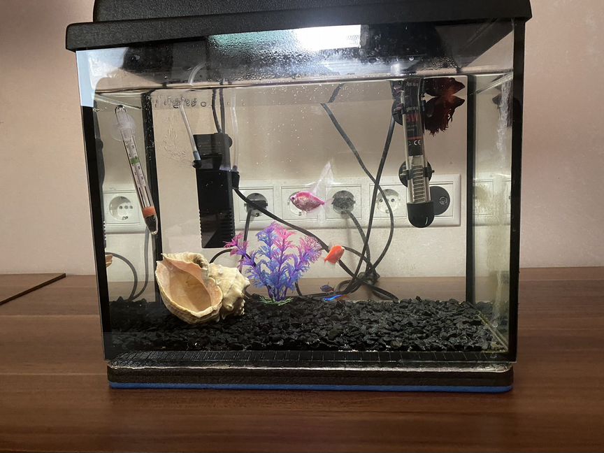 Аквариум с рыбками