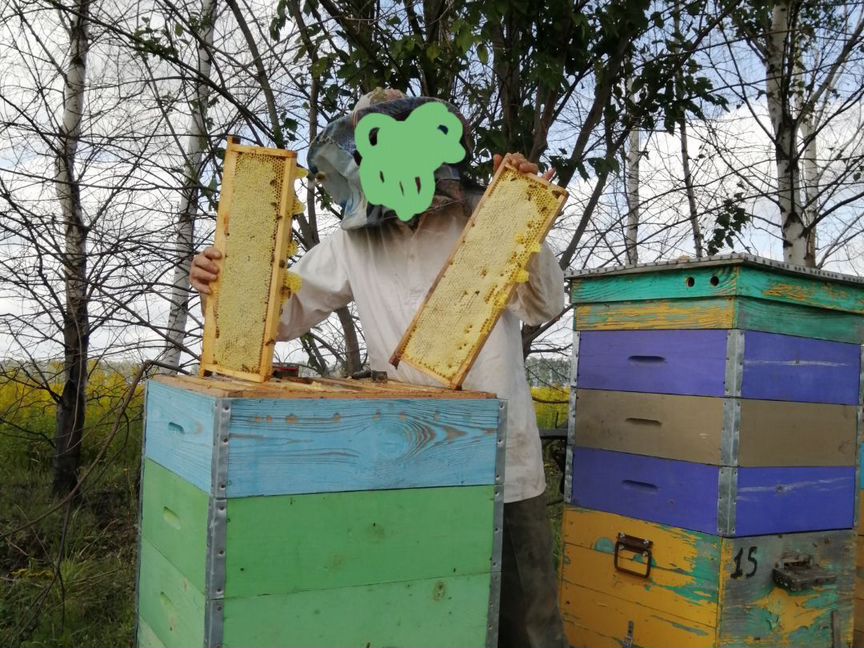 Улей для пчел бу