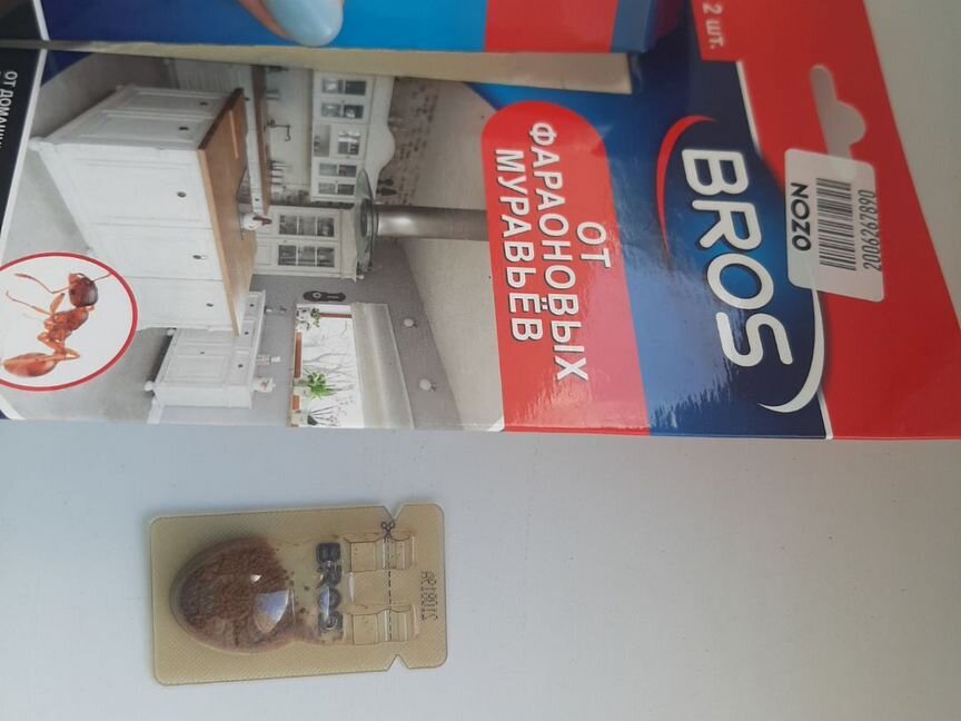 Bros от фараоновых муравьев