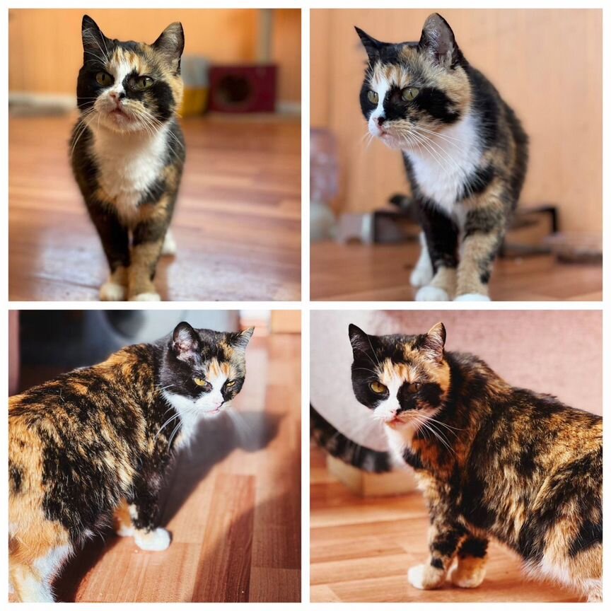 Ее никто не замечает