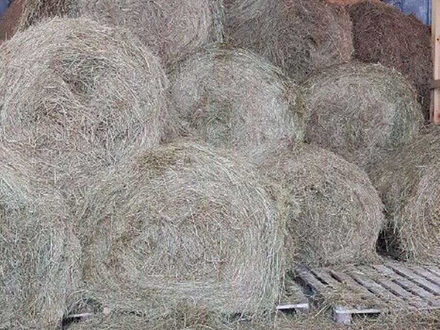 Сено в рулонах