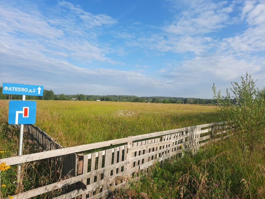 Сено луговое бесплатно