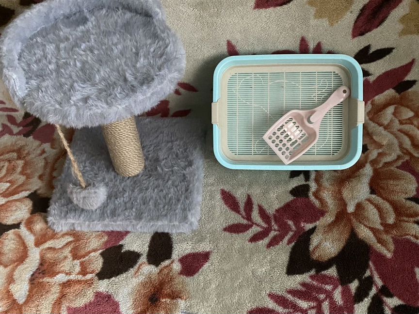 Ногтеточка, лоток и совок