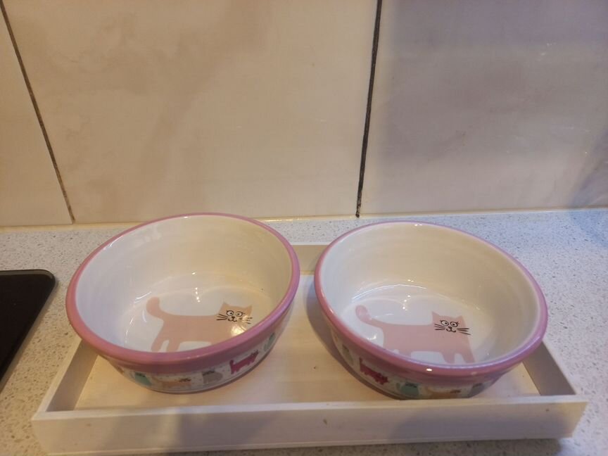 Миска для животных керамическая