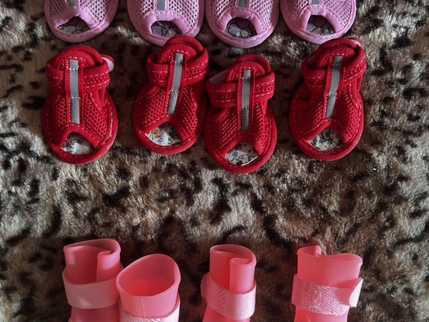 Обувь для маленьких собак