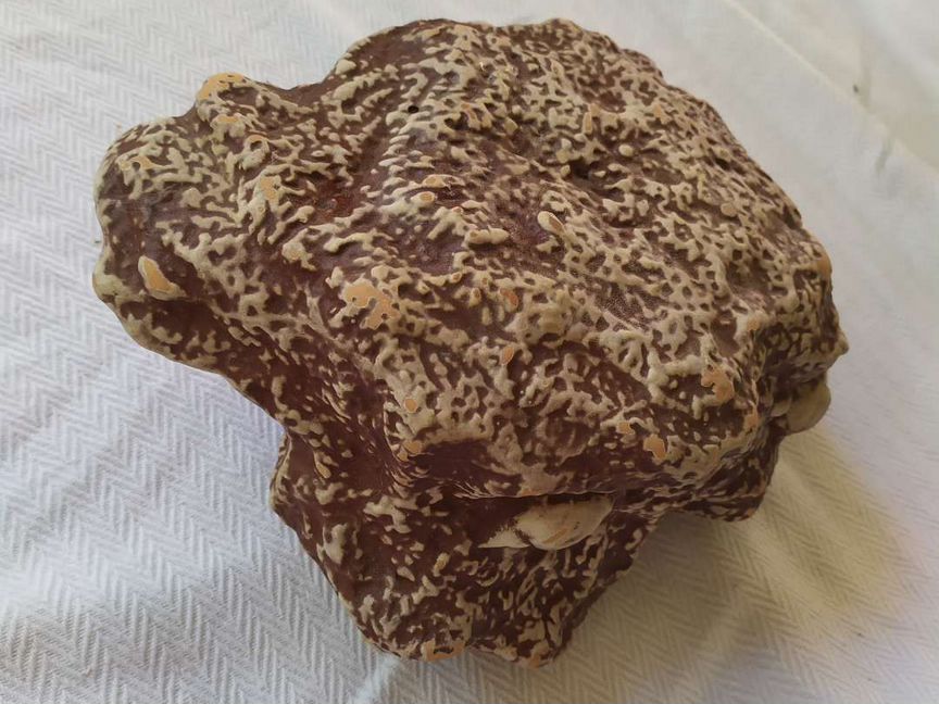 Керамический камень островок в аквариум