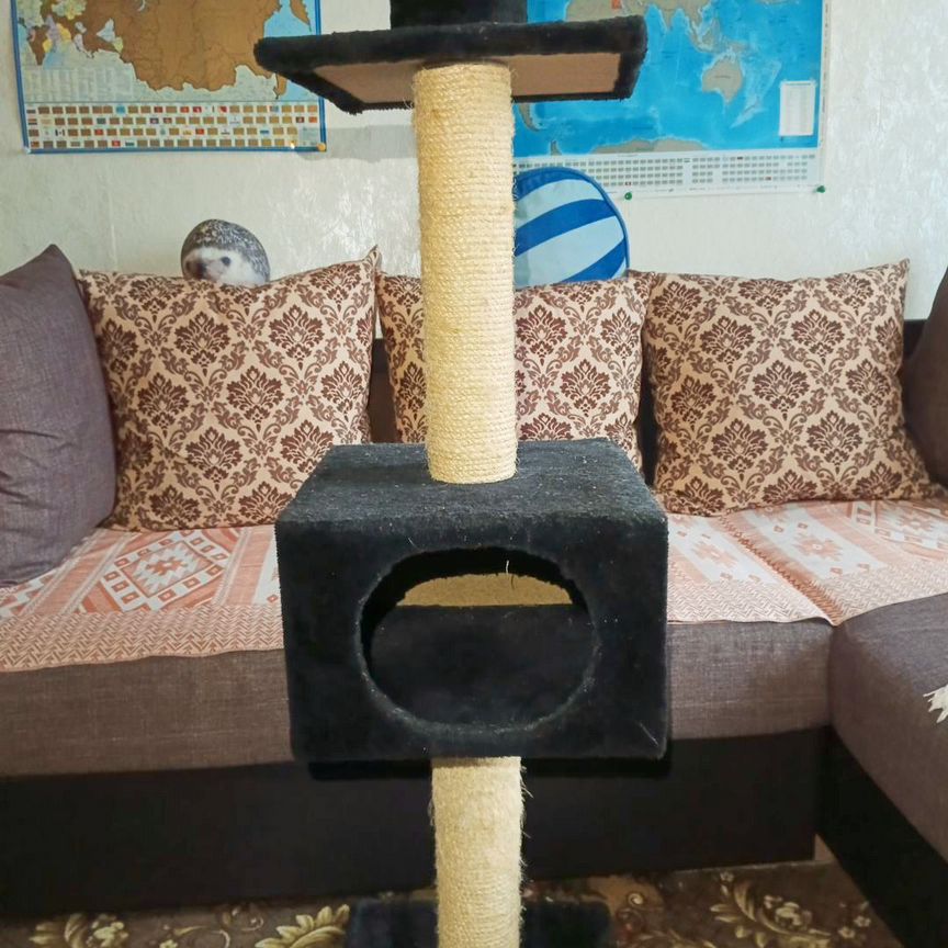 Когтеточка с домиком бу бесплатно