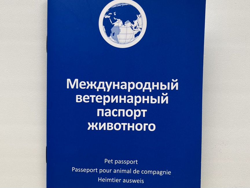 Международный ветеринарный паспорт животного