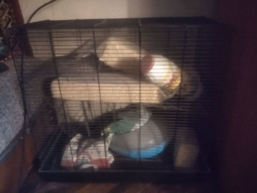 Клетка для шиншиллы