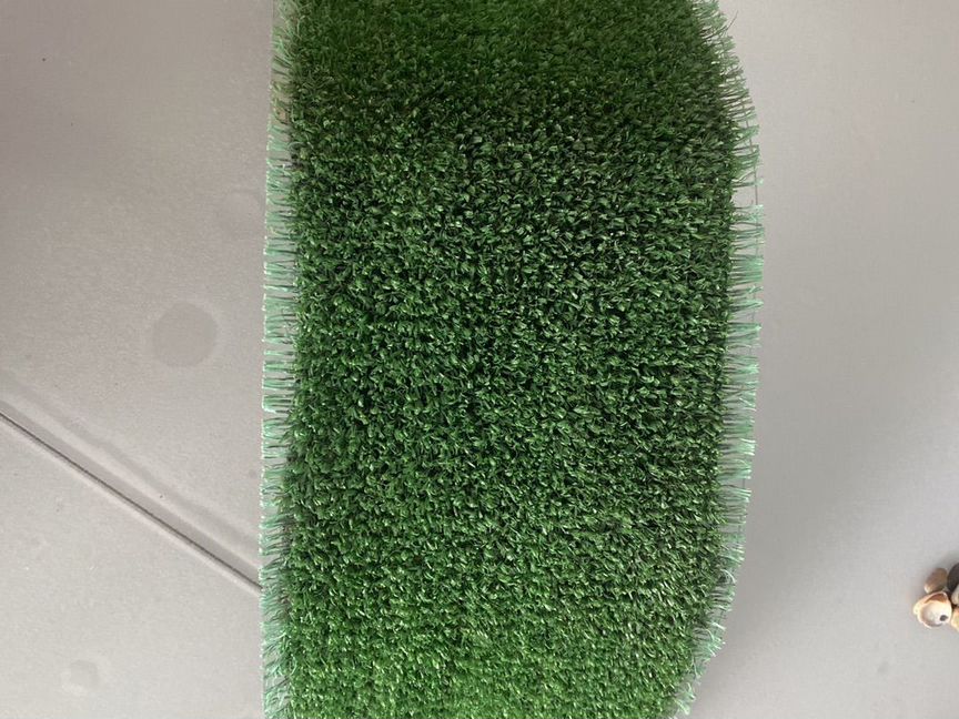 Мостик для черепах