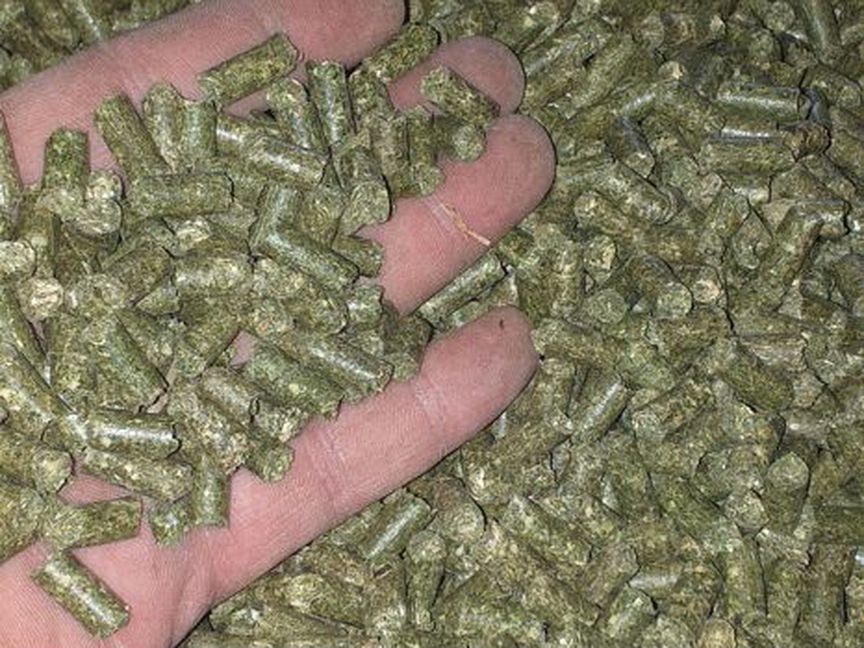 Корм в гранулах