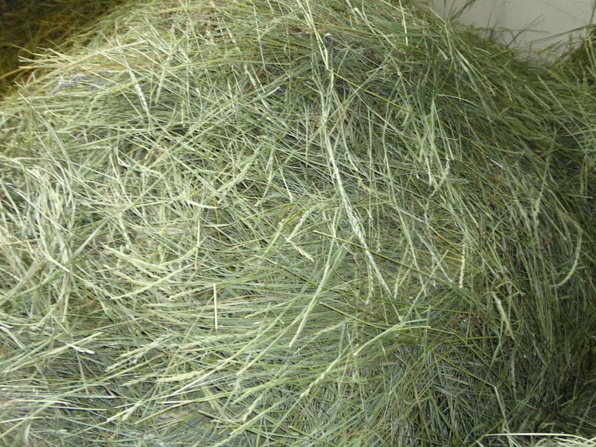 Сено в мешках