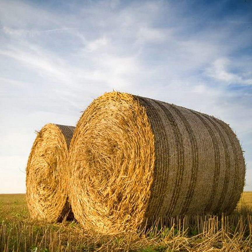 Продам 2 больших круглых тюка сено