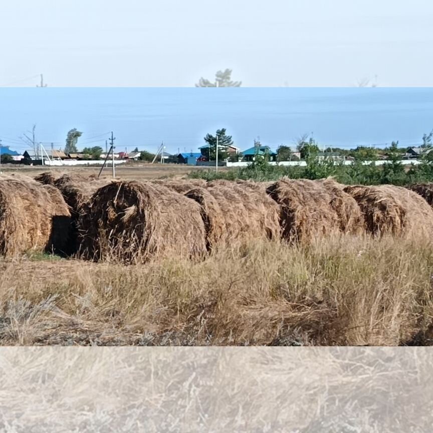 Сено врлонах с доставкой