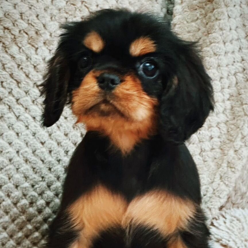 Малышка кукольная