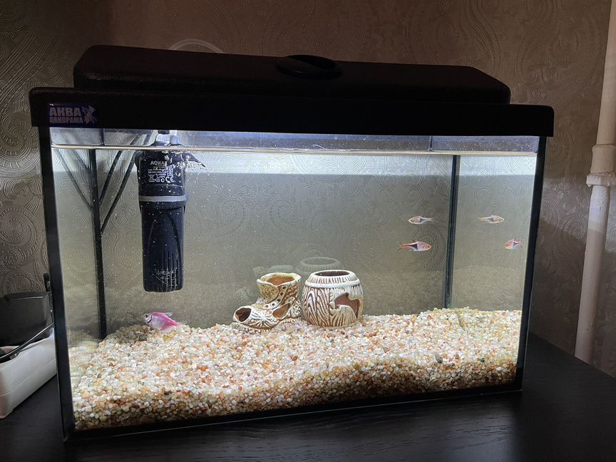 Аквариум с подсветкой и фильтром