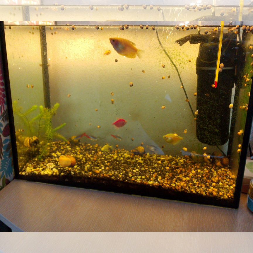 Украшение для аквариума