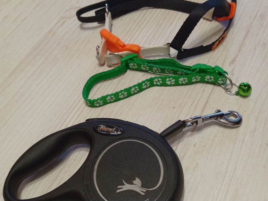 Рулетка, шлейка, ошейник