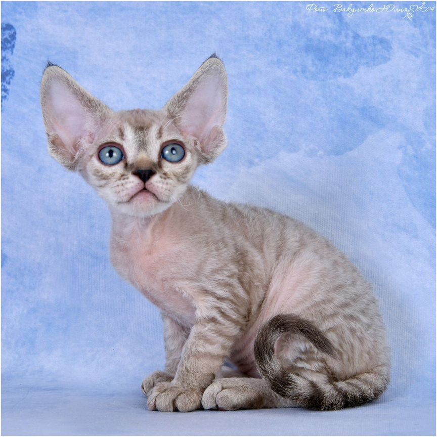 Сказочный эльфик