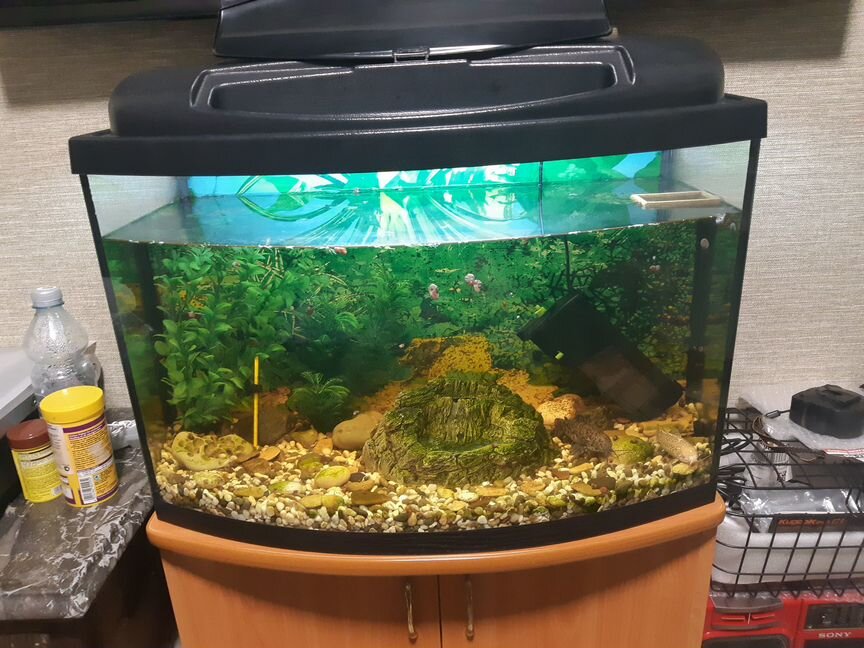 Аквариумы, тумбы, фон, светильники, фильтры, помпы