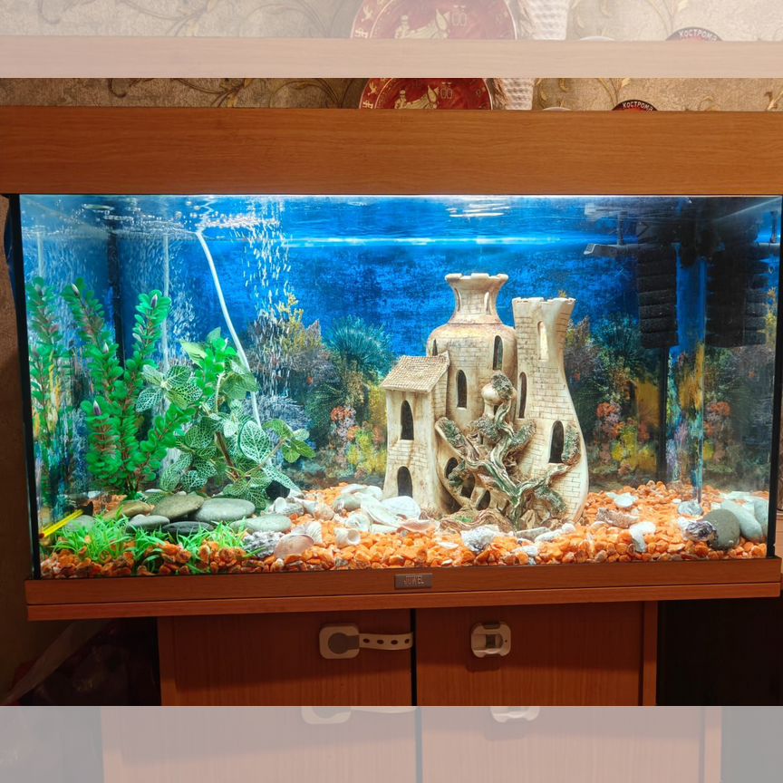 Аквариум с тумбой 100л