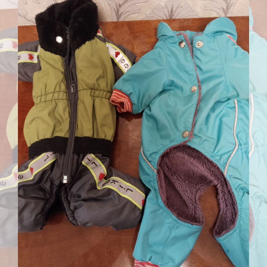 Одежда для маленьких собак пакетом