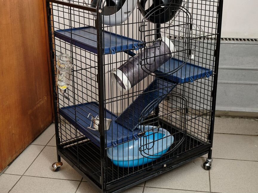 Четырехэтажная клетка для шиншилл хорька