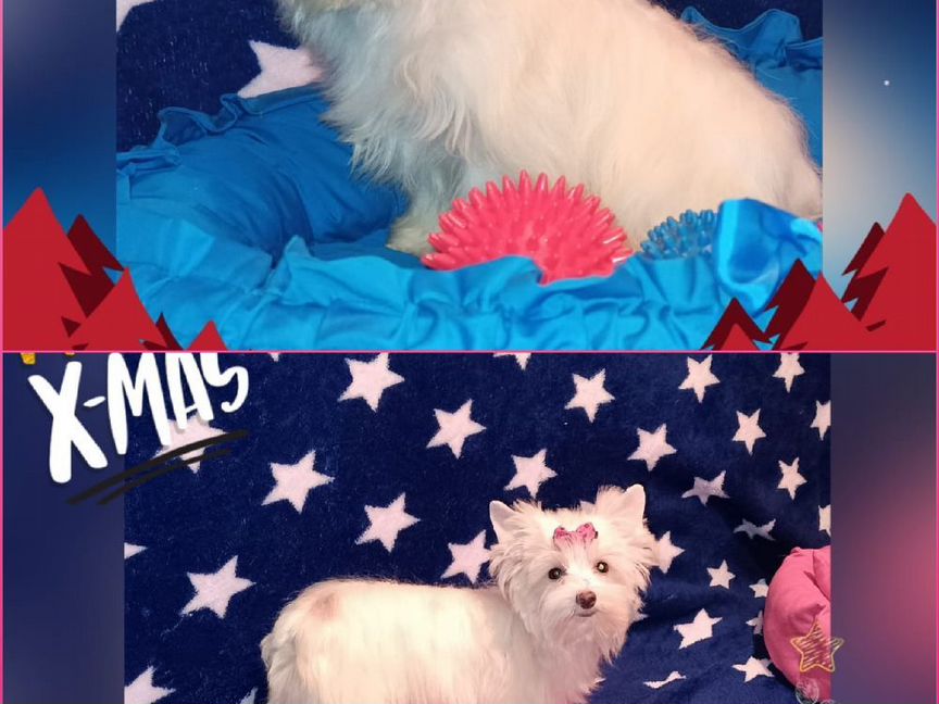 Мини девочка