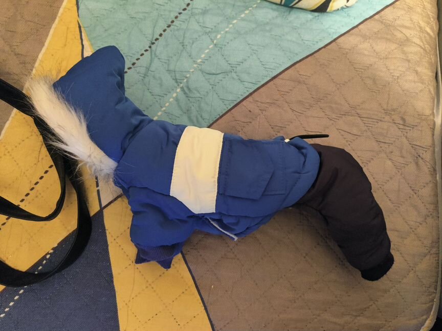 Комбинезон зимний для собак мелких пород