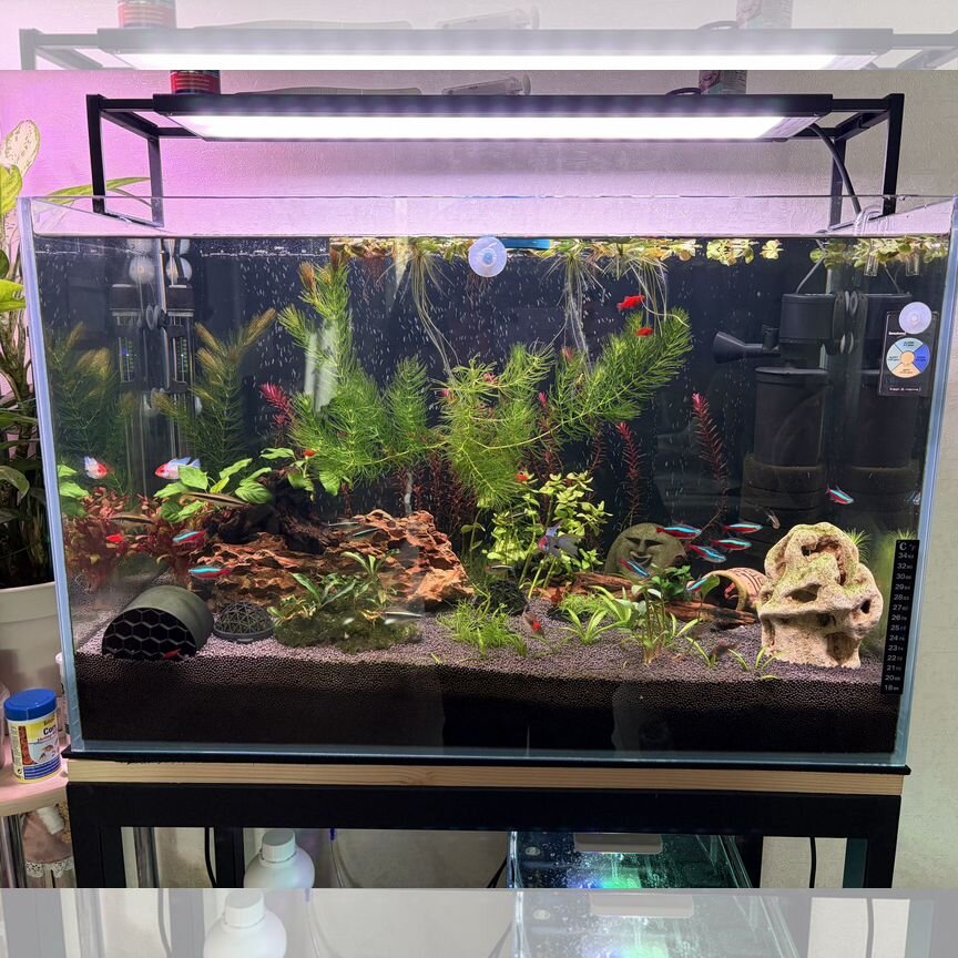 Аквариум optiwhite с тумбой, полный комплект