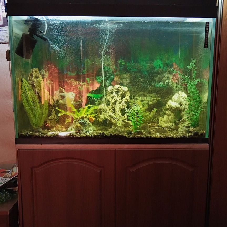 Аквариум с тумбой 300 литров