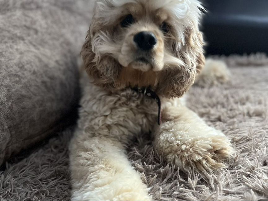 Нужна передержка