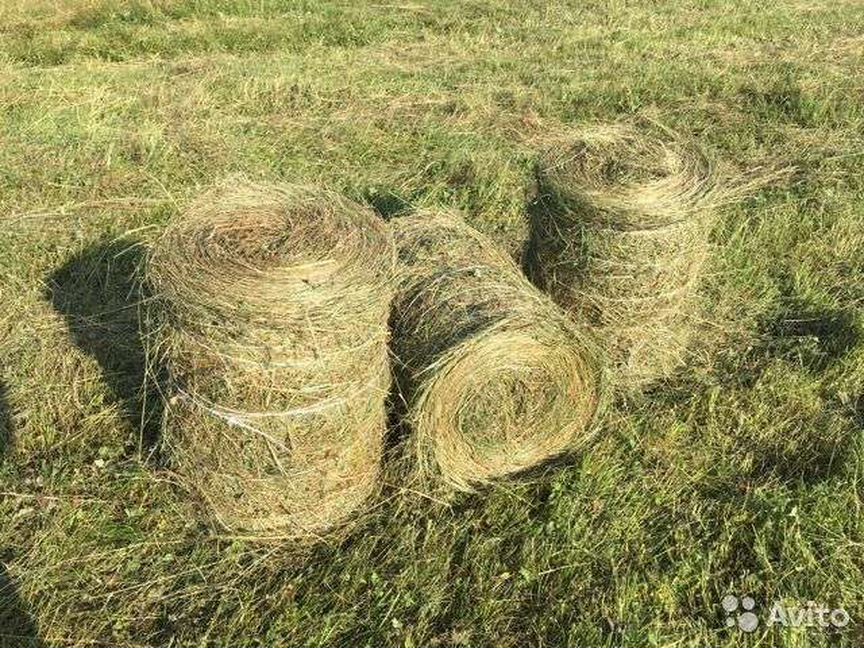 Продам сено в рулонах