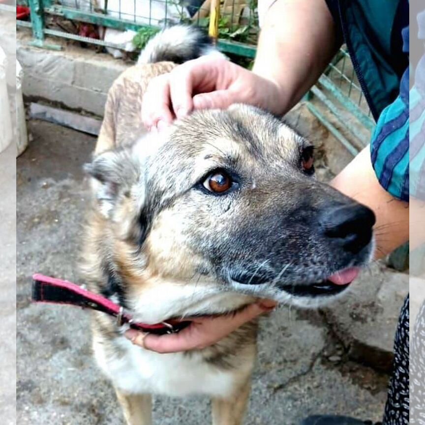 Охранник Тимур ищет работу