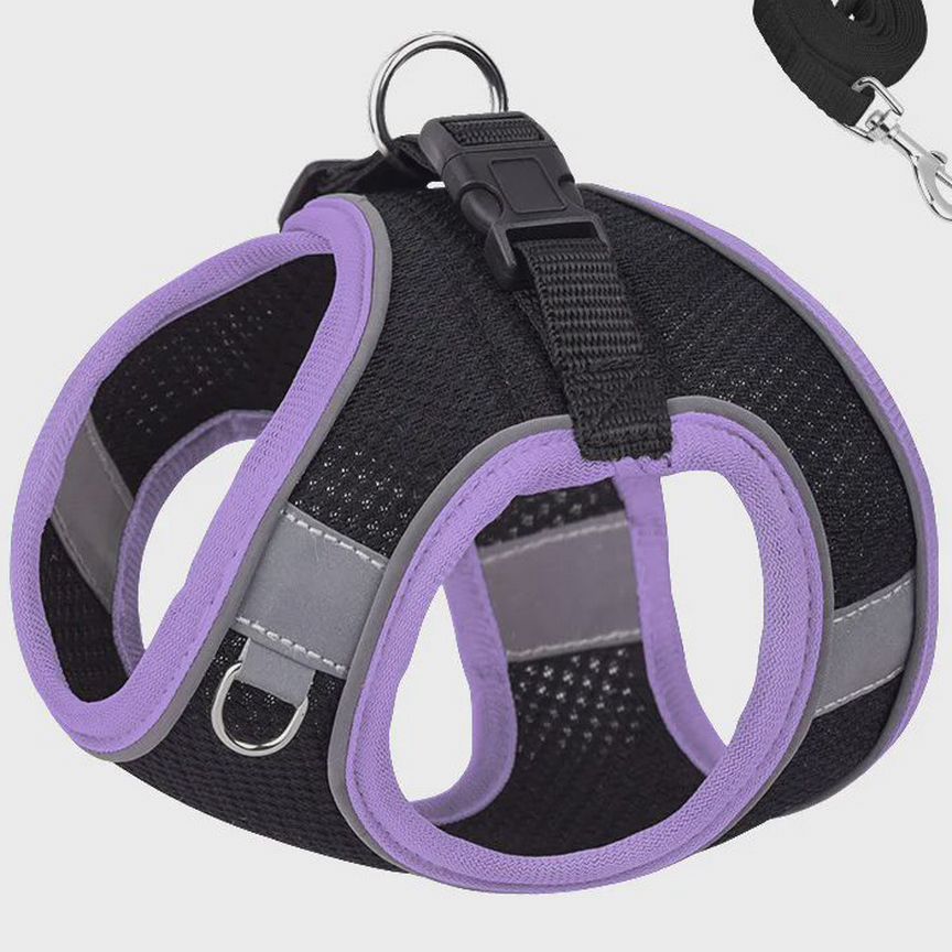 Фиолетовая шлейка для собак XXS 0.5-2kg, светоотражающая