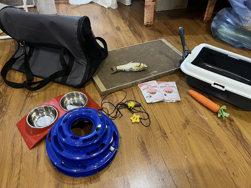 Набор «Первый котёнок»