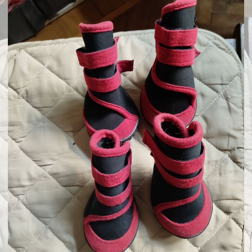 Ботинки для собак