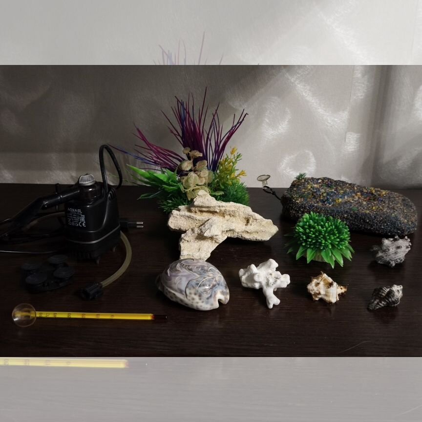 Аквариум и причиндалы для него