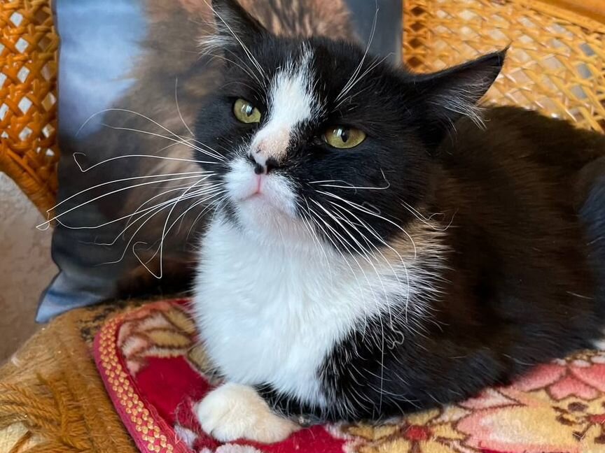 Филя с грустной историей